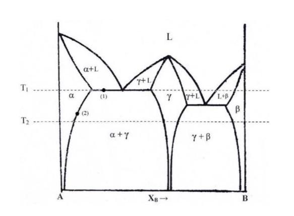 Solved Using the phase diagram in the figure, draw the | Chegg.com