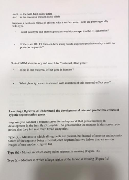 Solved Developmental Genetics Virtual Lab In this virtual | Chegg.com
