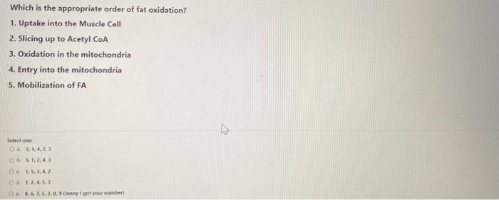 Solved Which is the appropriate order of fat oxidation? 1. | Chegg.com