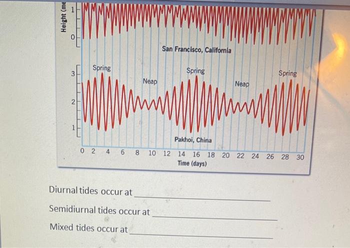 Solved H005 11.0 12 24 12 24 Hours B. SEMIDIURNAL TIDAL | Chegg.com