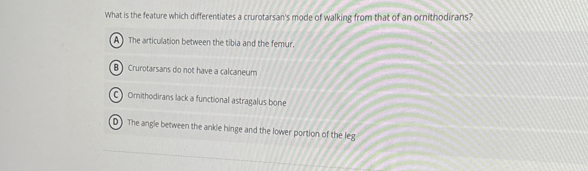 Solved What is the feature which differentiates a | Chegg.com