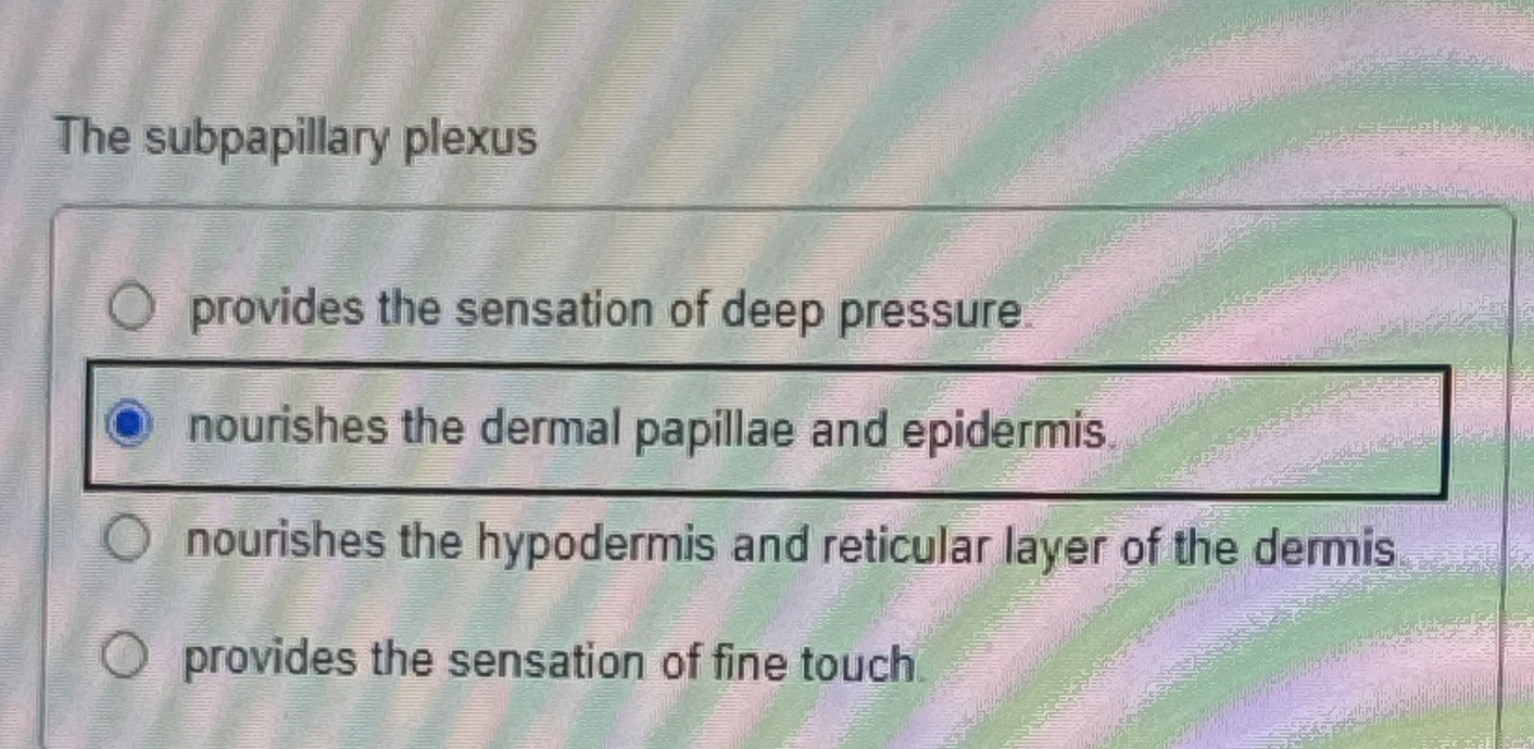 Solved The subpapillary plexusprovides the sensation of deep | Chegg.com