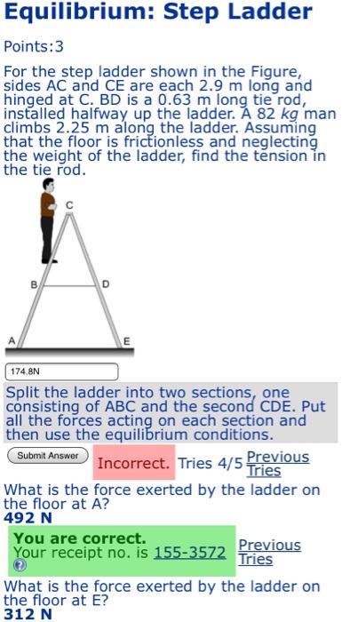 Solved Equilibrium: Step Ladder Points:3 For the step ladder | Chegg.com