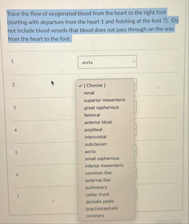 Solved Trace the flow of oxygenated blood from the heart to | Chegg.com