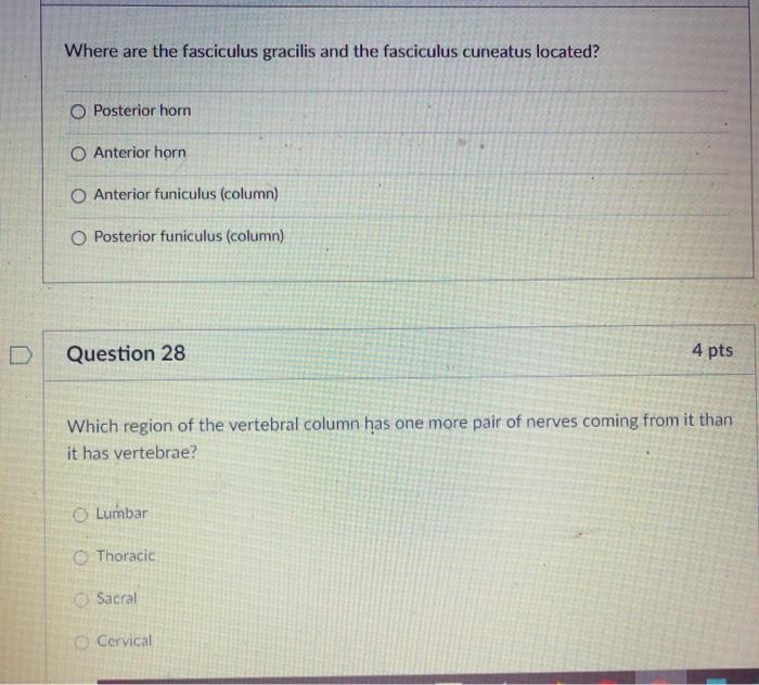 Solved Where are the fasciculus gracilis and the fasciculus | Chegg.com