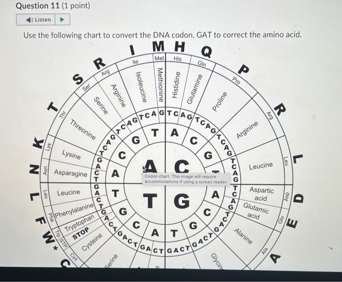 Solved Use the following chart to convert the DNA codon, GAT | Chegg.com