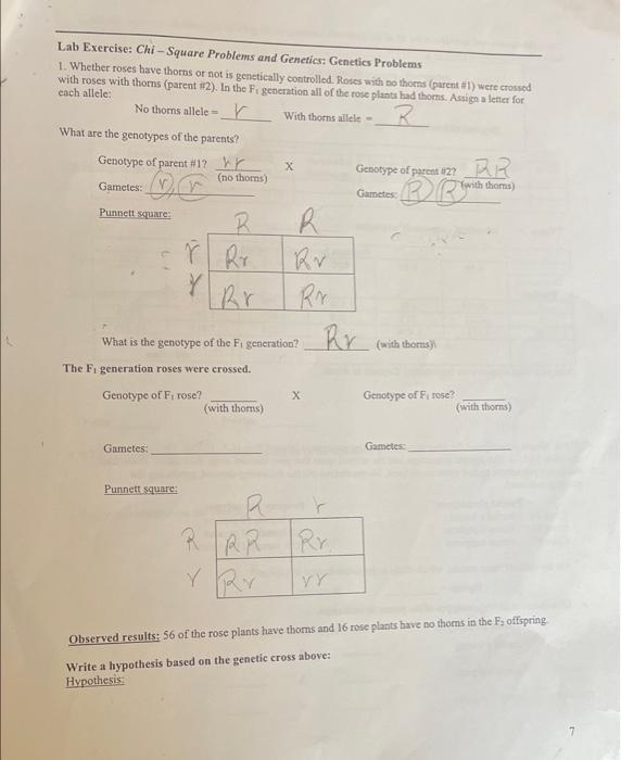 Solved Lab Exercise: Chi - Square Problems and Genetics: | Chegg.com