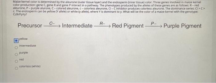 Solved Maize kernel color is determined by the aleurone | Chegg.com