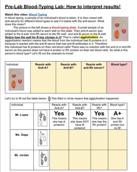 Solved Х Pre-Lab Blood-Typing Lab: How to interpret results! | Chegg.com