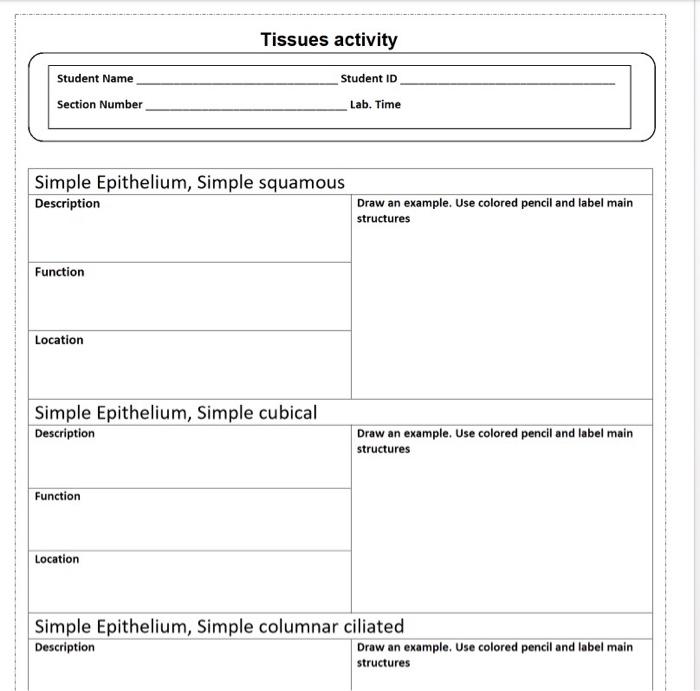 Solved Tissues activity Student Name Student ID Section | Chegg.com