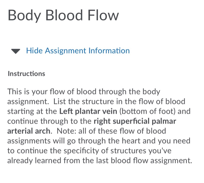 Solved Body Blood Flow Hide Assignment Information | Chegg.com
