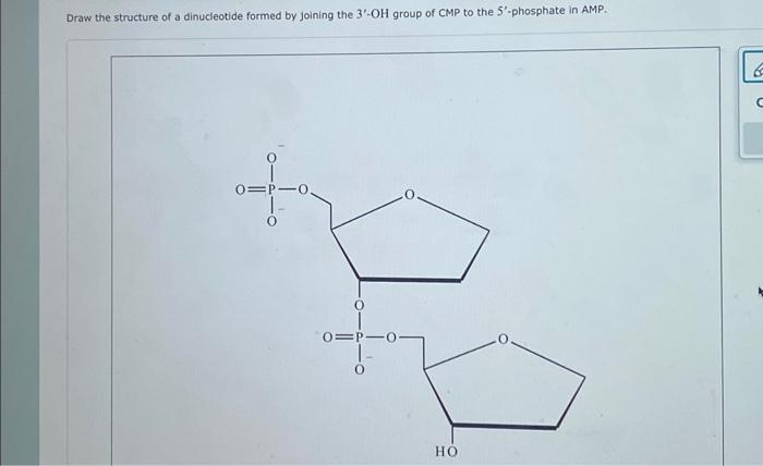 Solved Draw the structure of a dinucleotide formed by | Chegg.com