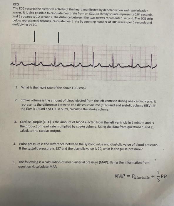 Solved ECG The ECG records the electrical activity of the | Chegg.com
