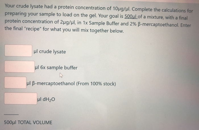 Solved Your crude lysate had a protein concentration of | Chegg.com