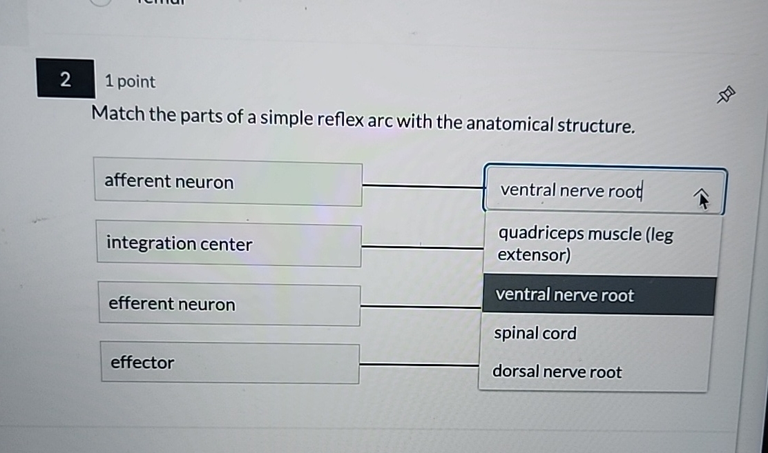 Solved 21 ﻿pointMatch the parts of a simple reflex arc with | Chegg.com