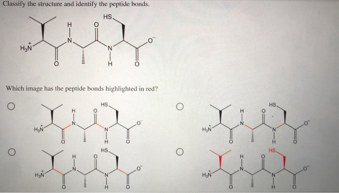 Solved Classify the structure and identify the peptide | Chegg.com