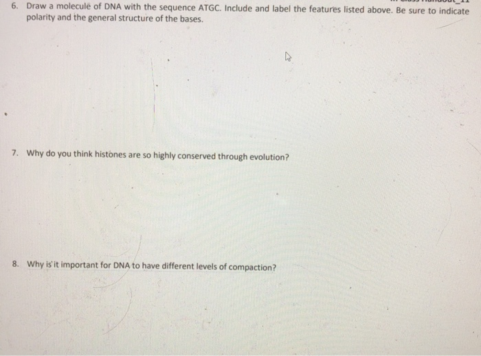 Solved 6. Draw a molecule of DNA with the sequence ATGC. | Chegg.com