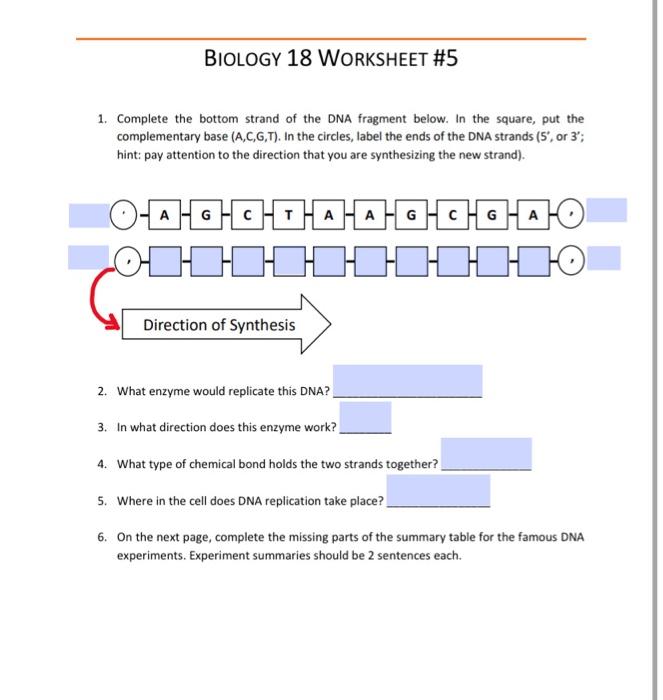 Solved BIOLOGY 18 WORKSHEET #5 1. Complete the bottom strand | Chegg.com