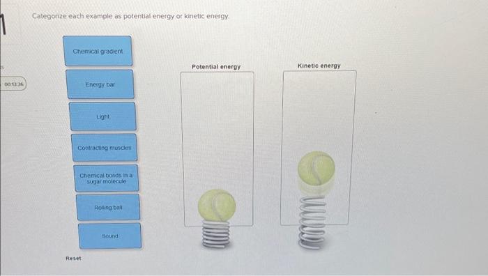 Solved S 00:13:36 Categorize each example as potential | Chegg.com