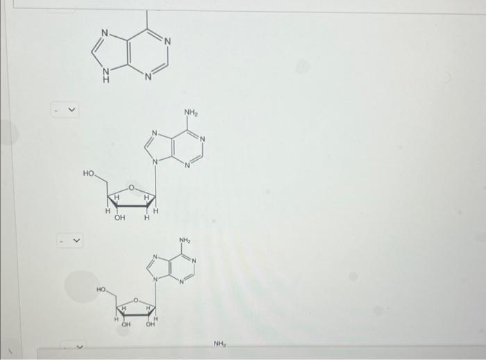 Solved Match the correct name to each of the structures | Chegg.com