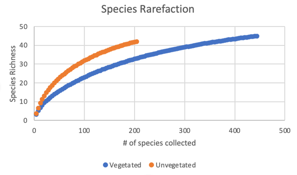 Solved Did vegetated or unvegetated habitats have greater | Chegg.com