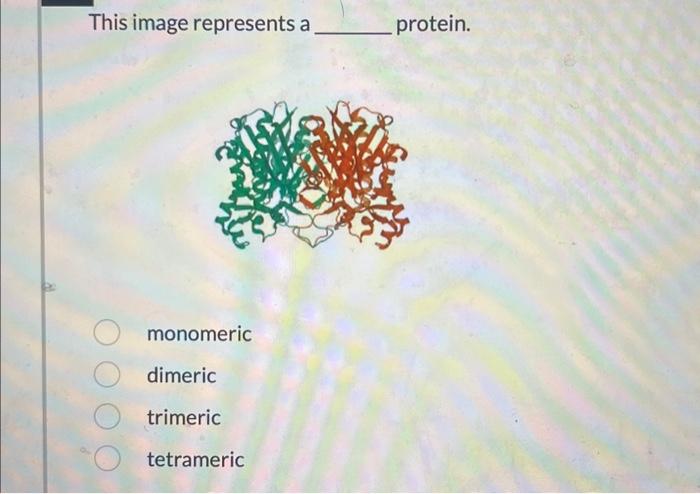 Solved This image represents a protein. monomeric dimeric | Chegg.com