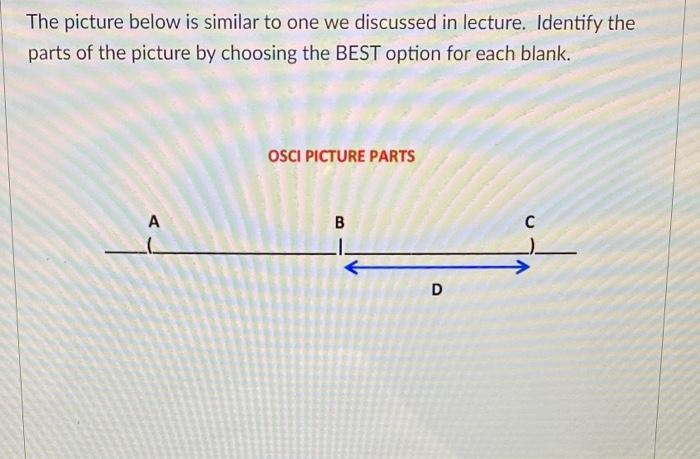 Solved The picture below is similar to one we discussed in | Chegg.com