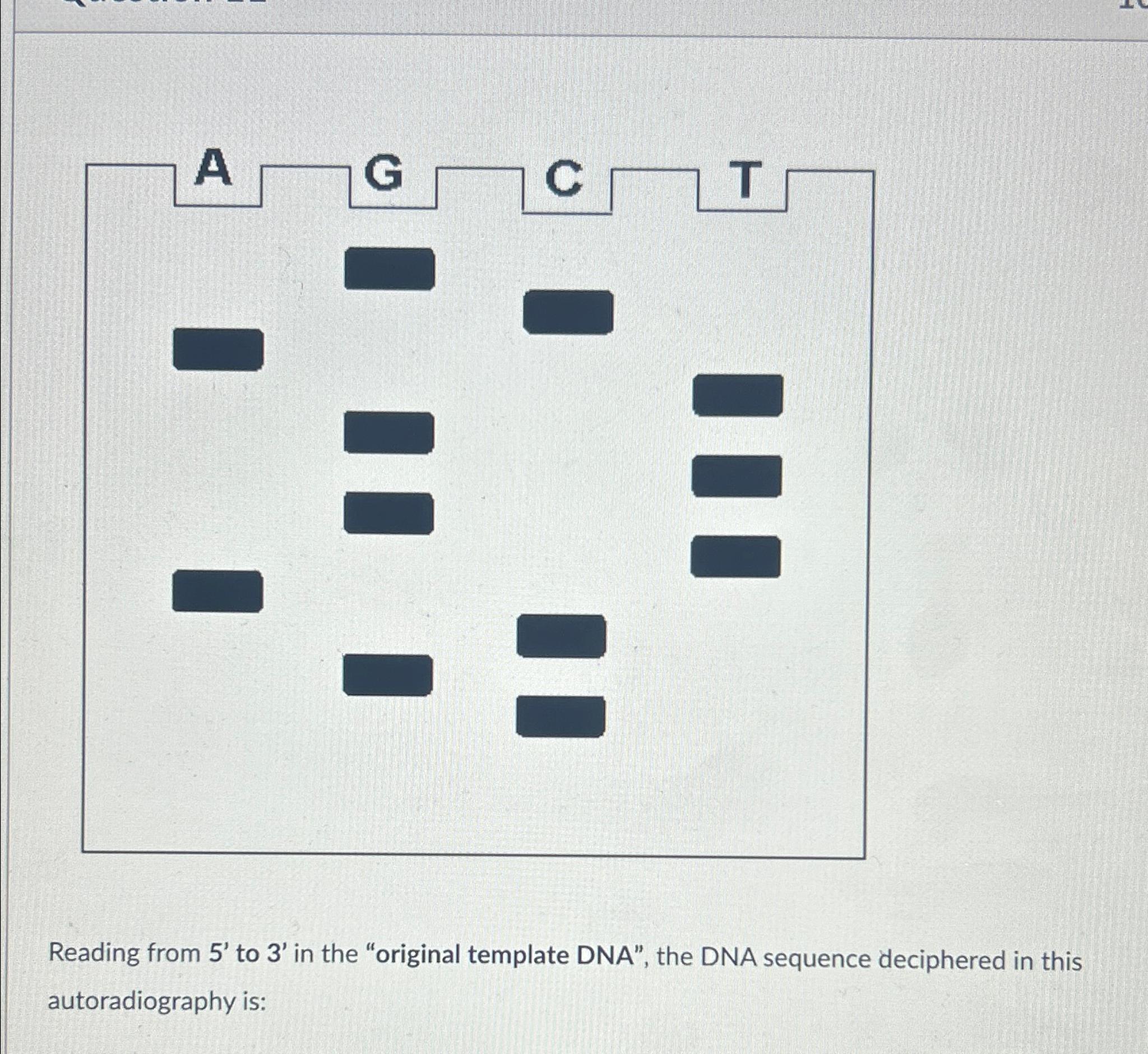 Solved Reading from 5 ' ﻿to 3' ﻿in the "original template | Chegg.com