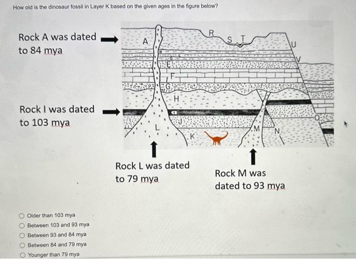 Solved Which Principle of Stratigraphy is used to determine | Chegg.com