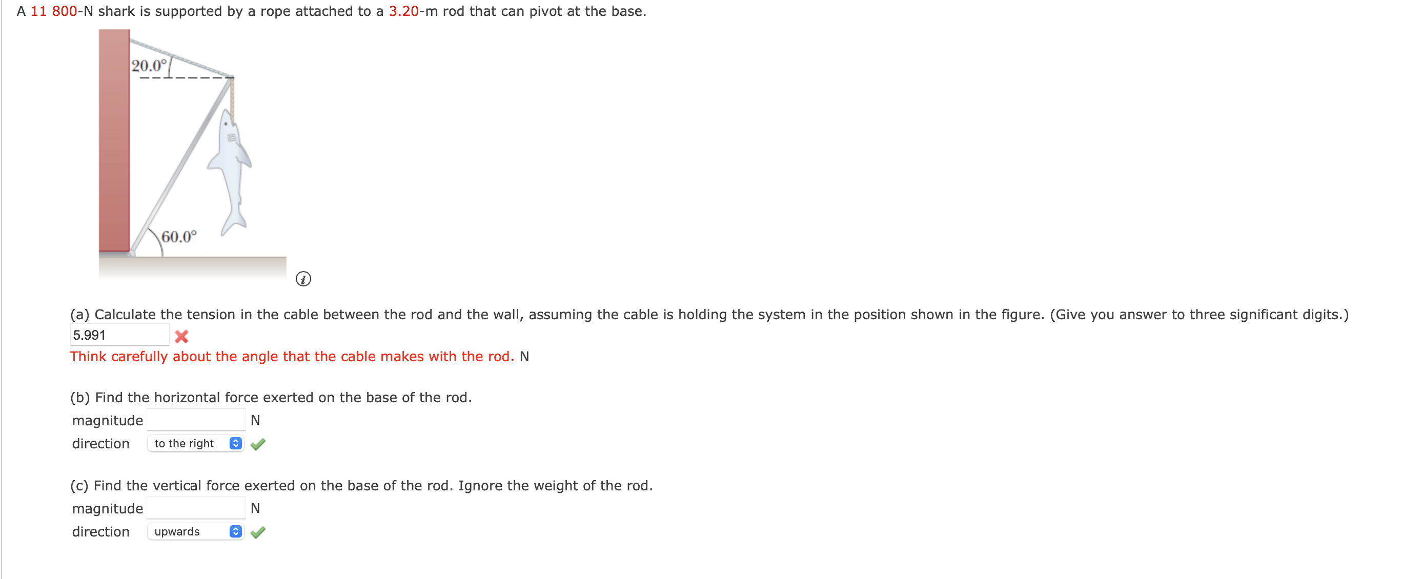 Solved A 11800-N ﻿shark is supported by a rope attached to a | Chegg.com