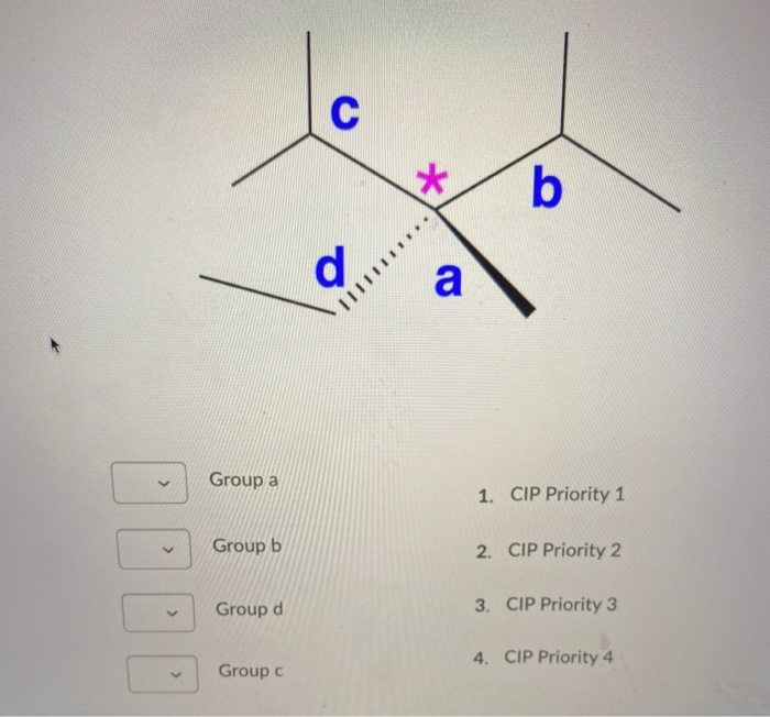 Solved Question 5 (8 points) Following the CIP rules, | Chegg.com