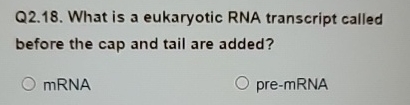 Solved Q2.18. ﻿What is a eukaryotic RNA transcript called | Chegg.com