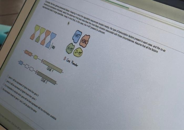 Solved H but Click Save All A Consider the two genes | Chegg.com