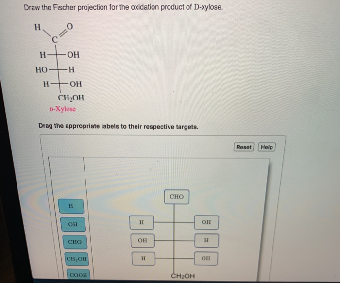 Solved Draw the Fischer projection for the oxidation product | Chegg.com