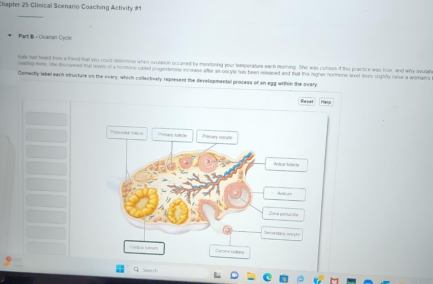 Solved Kate had heard from a friend that you could determine | Chegg.com