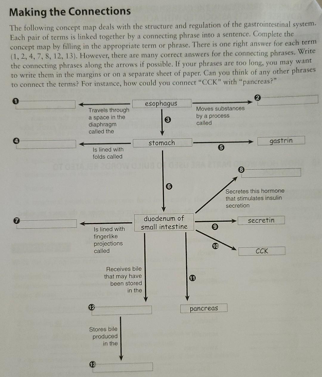 Solved Making the Connections The following concept map | Chegg.com