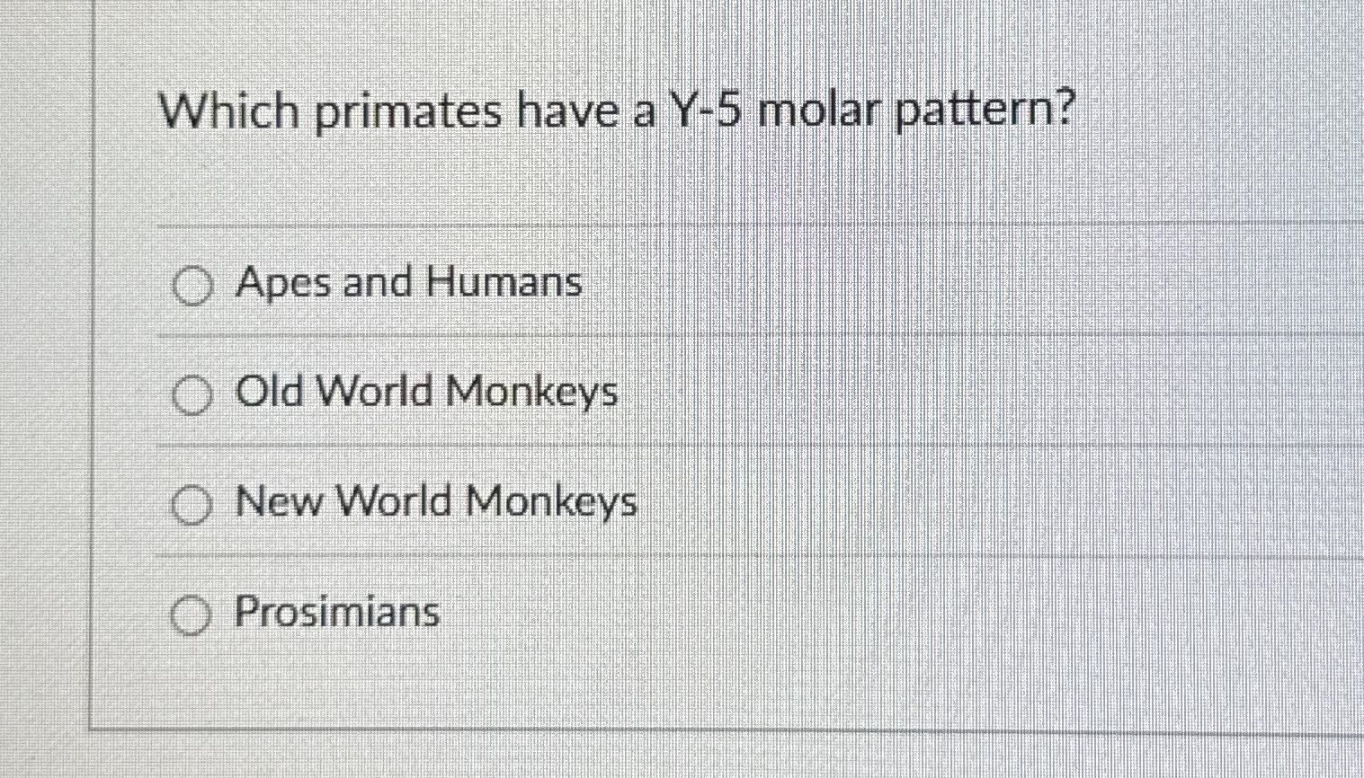 Solved Which primates have a Y-5 ﻿molar pattern?Apes and | Chegg.com