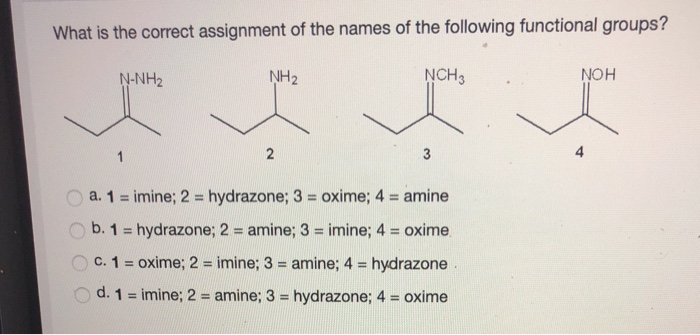 Solved What is the correct assignment of the names of the | Chegg.com