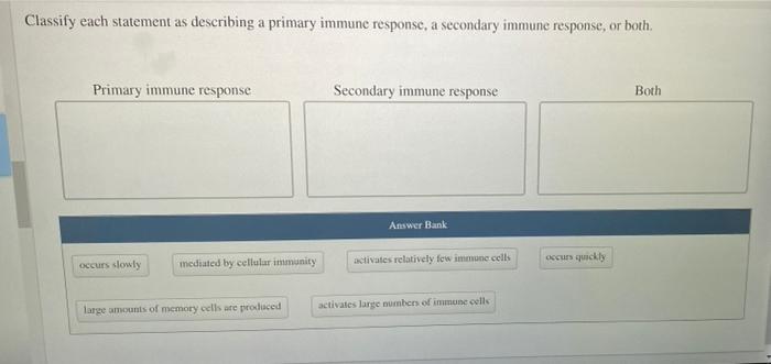Solved Classify each statement as describing a primary | Chegg.com