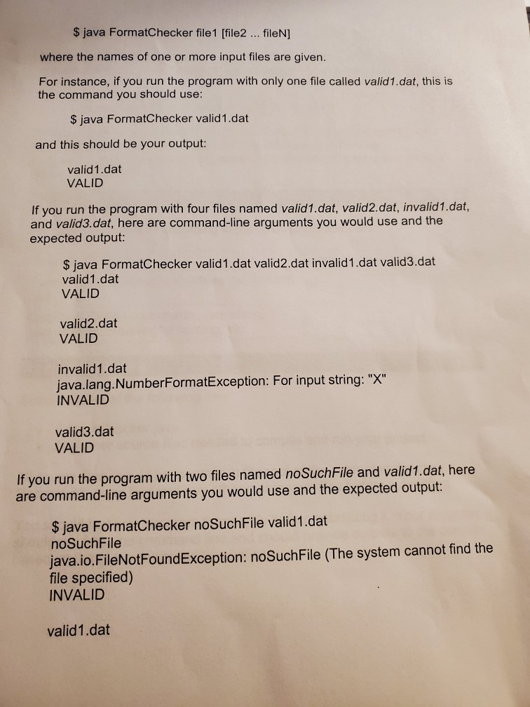 Exception Handling: Format Checker "A good programmer | Chegg.com