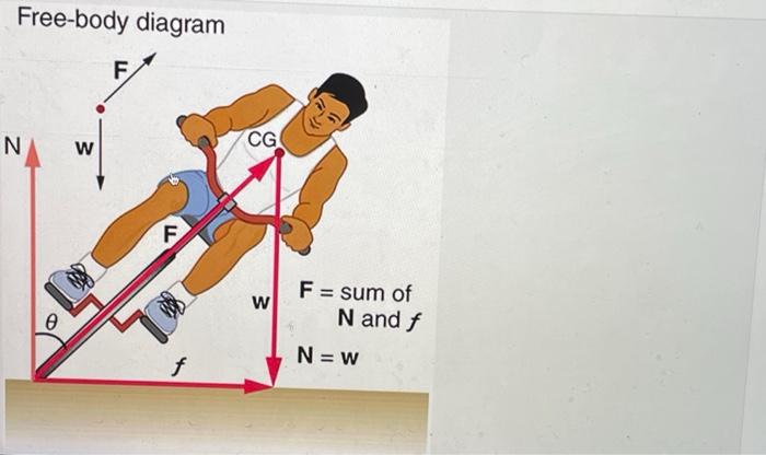 Solved Free-body diagramPart of riding a bicycle involves | Chegg.com