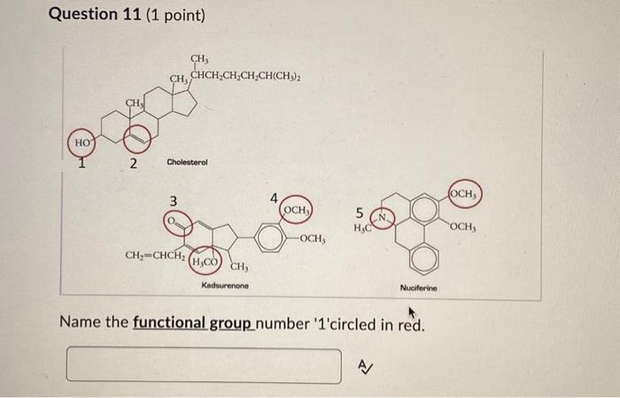 Solved Question 11 (1 point) Name the functional group | Chegg.com
