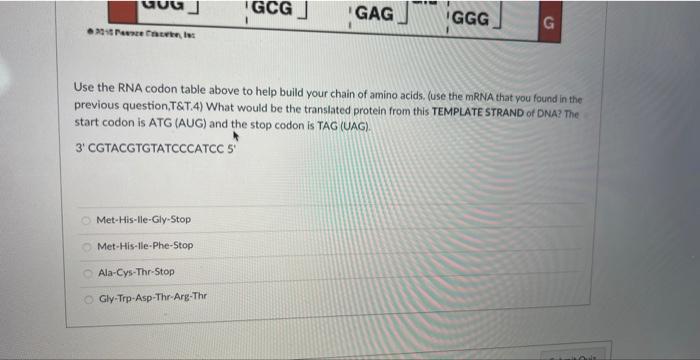 Solved Use the RNA codon tisle above to bete truld your | Chegg.com