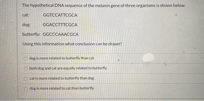 Solved The hypothetical DNA sequence of the melanin gene of | Chegg.com