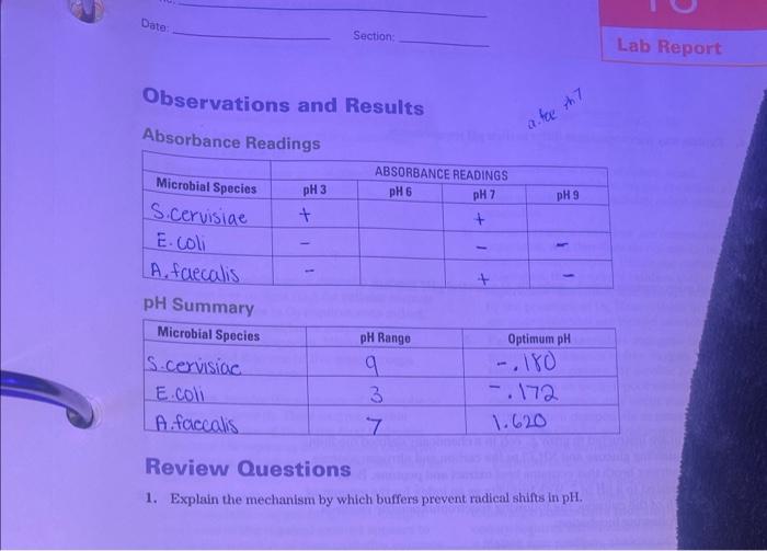 Solved Observations and Results Absorbance Readings pH | Chegg.com