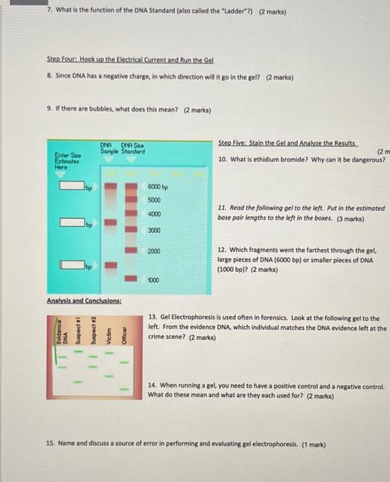Solved Subtopic 3.2 DNA Technology 1. How are genetic | Chegg.com