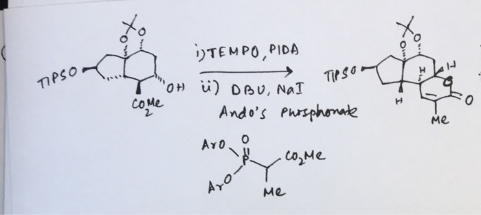 TEMPO, PIDA TIPSO Tipson come '0+ ü) DBU, NAI Ando's | Chegg.com