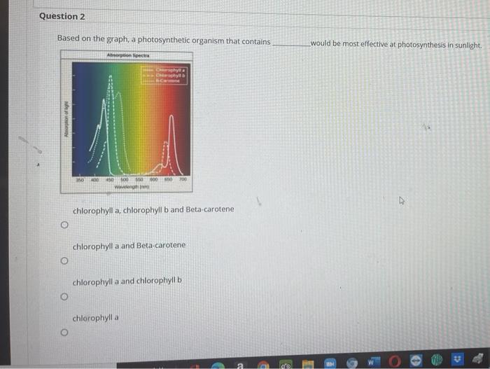 Solved Question 2 Based on the graph, a photosynthetic | Chegg.com