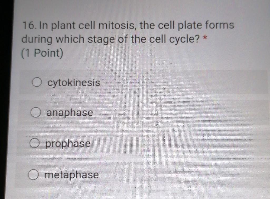 Solved 16. In plant cell mitosis, the cell plate forms | Chegg.com