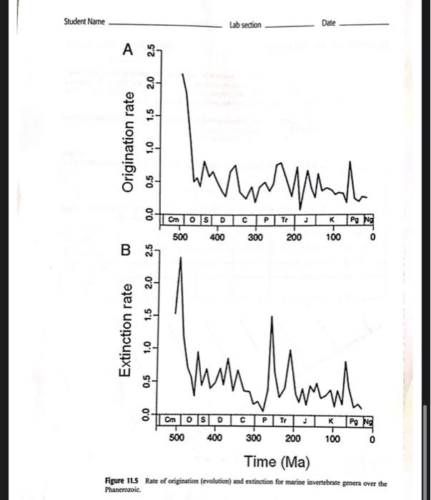 Evolution in the Fossil Record PUNCTUATED EQUILIBRIUM | Chegg.com